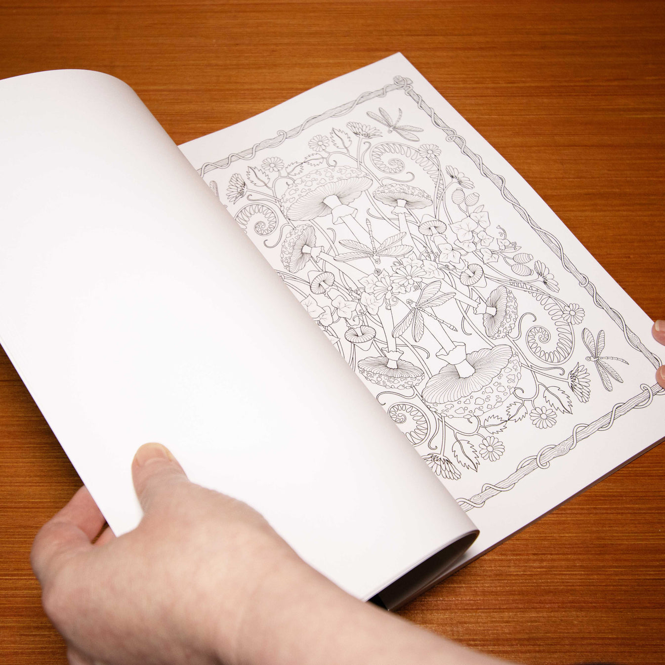 The Weird & Wonderful A4 Colouring Book | 32 Designs | StormseyeDesign ...